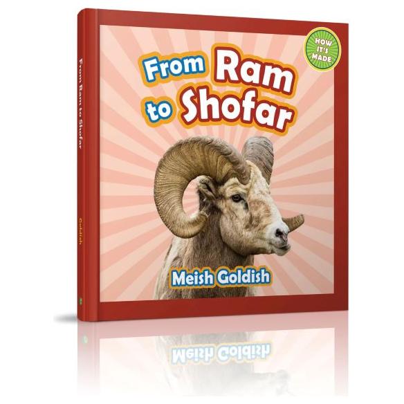 From Ram to Shofar How it's Made By Meish Goldish — IsraelBookShop