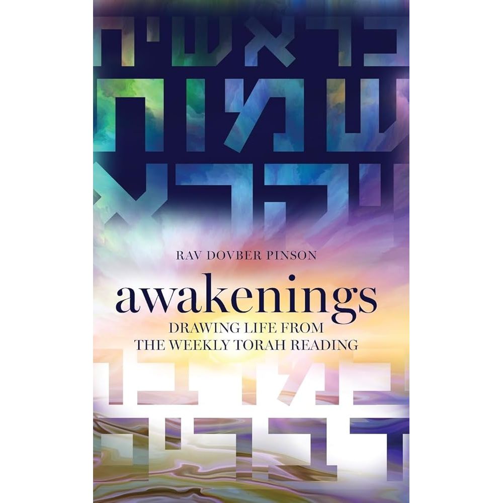 Awakenings: Drawing Life from the Weekly Torah Reading By Rabbi Dovber ...