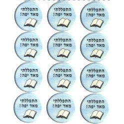 Hebrew Vocabulary Jewish Stickers "Nice Davening!" - Set of 48 ...