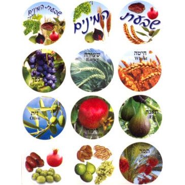 Shivat Haminim - Seven Species Jewish Photo Stickers Set of 120 ...